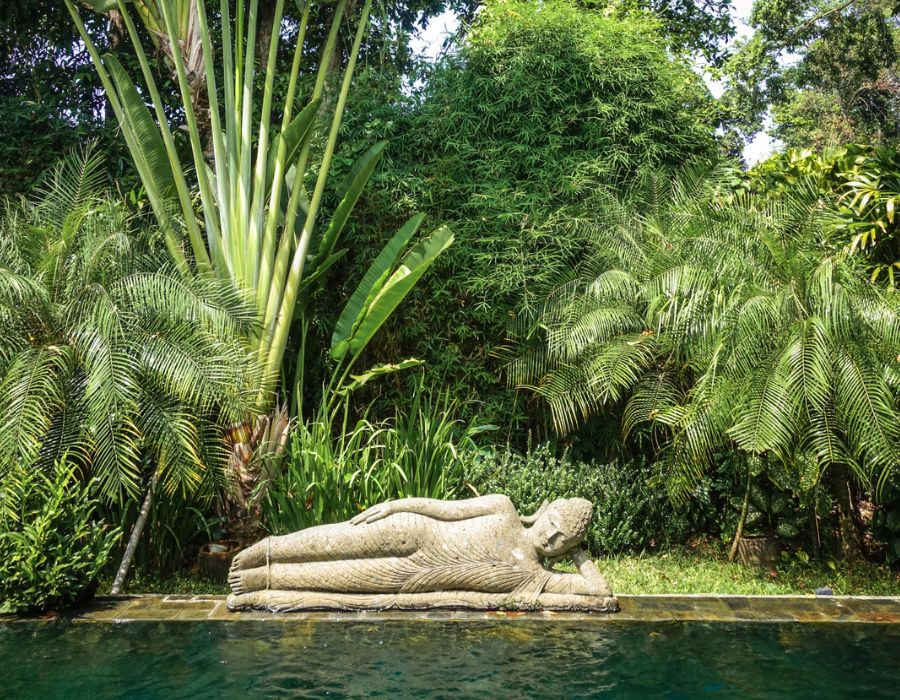 How to create your own jungle landscaping design